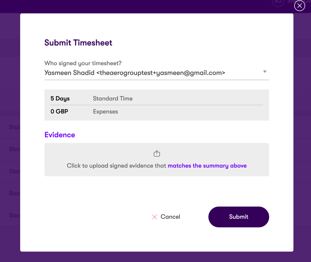 Timesheets Submission - Worker Guide