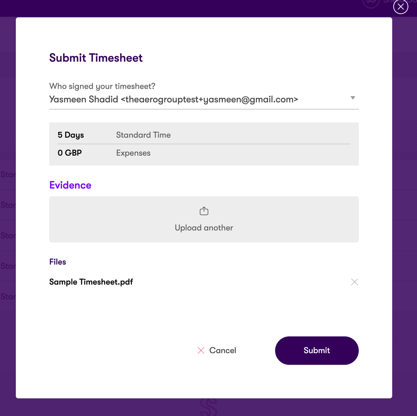 Timesheets Submission - Worker Guide