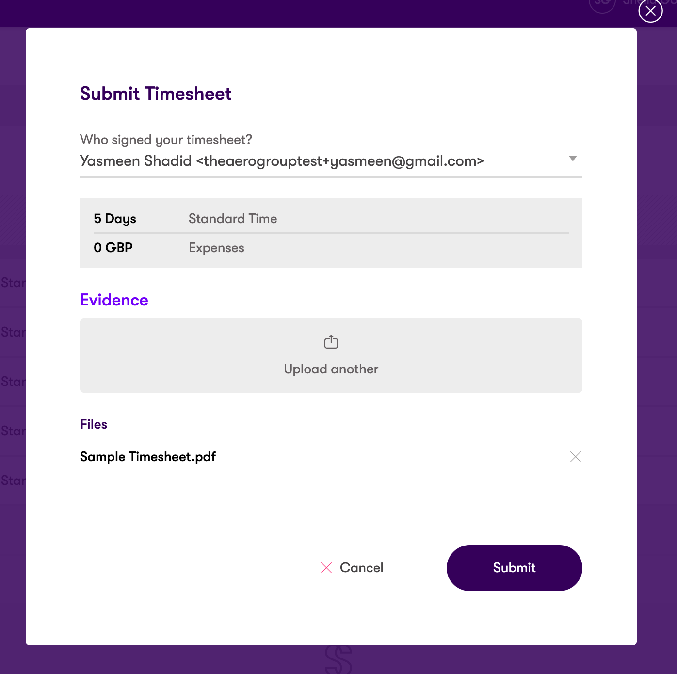 Timesheets Submission - Worker Guide